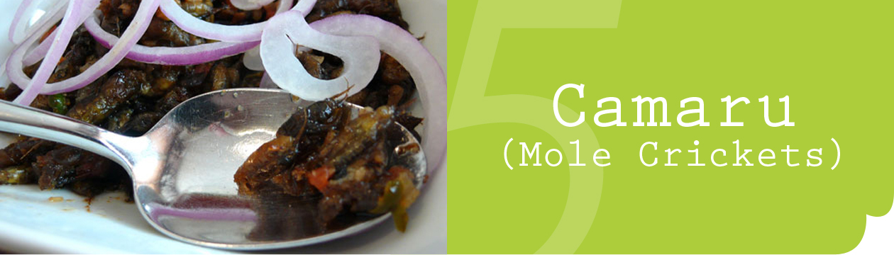 8 Signature Kapampangan Dishes that You Should (Really) Try - 8List.ph