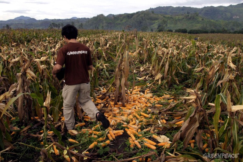 El Niño In The Philippines 8 Things You Should Know 8listph