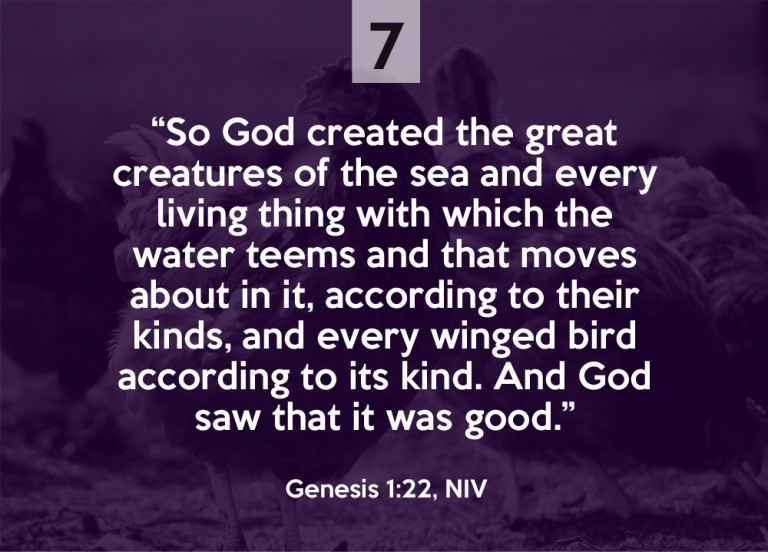 8 Bible Verses Supported by Science - 8List.ph