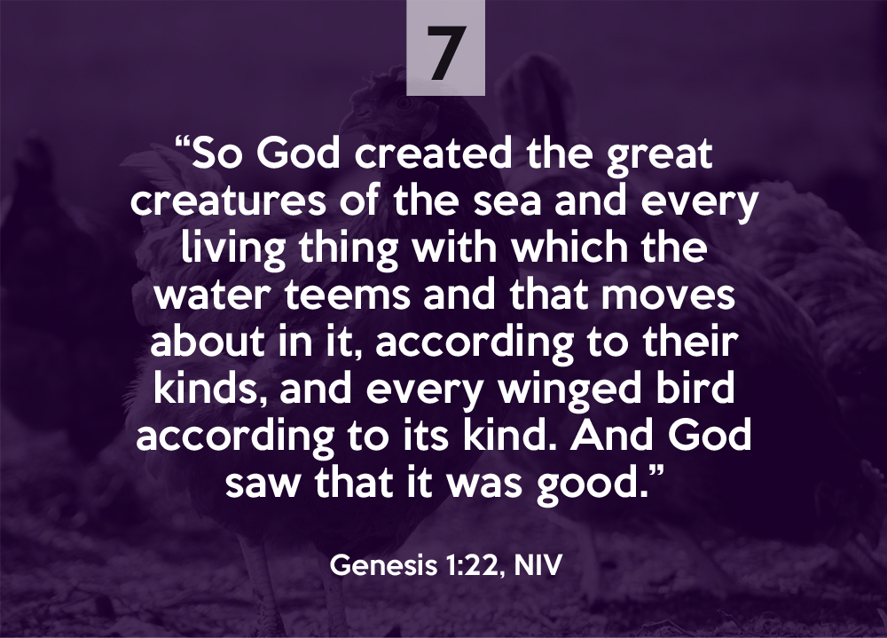 8 Bible Verses Supported by Science - 8List.ph