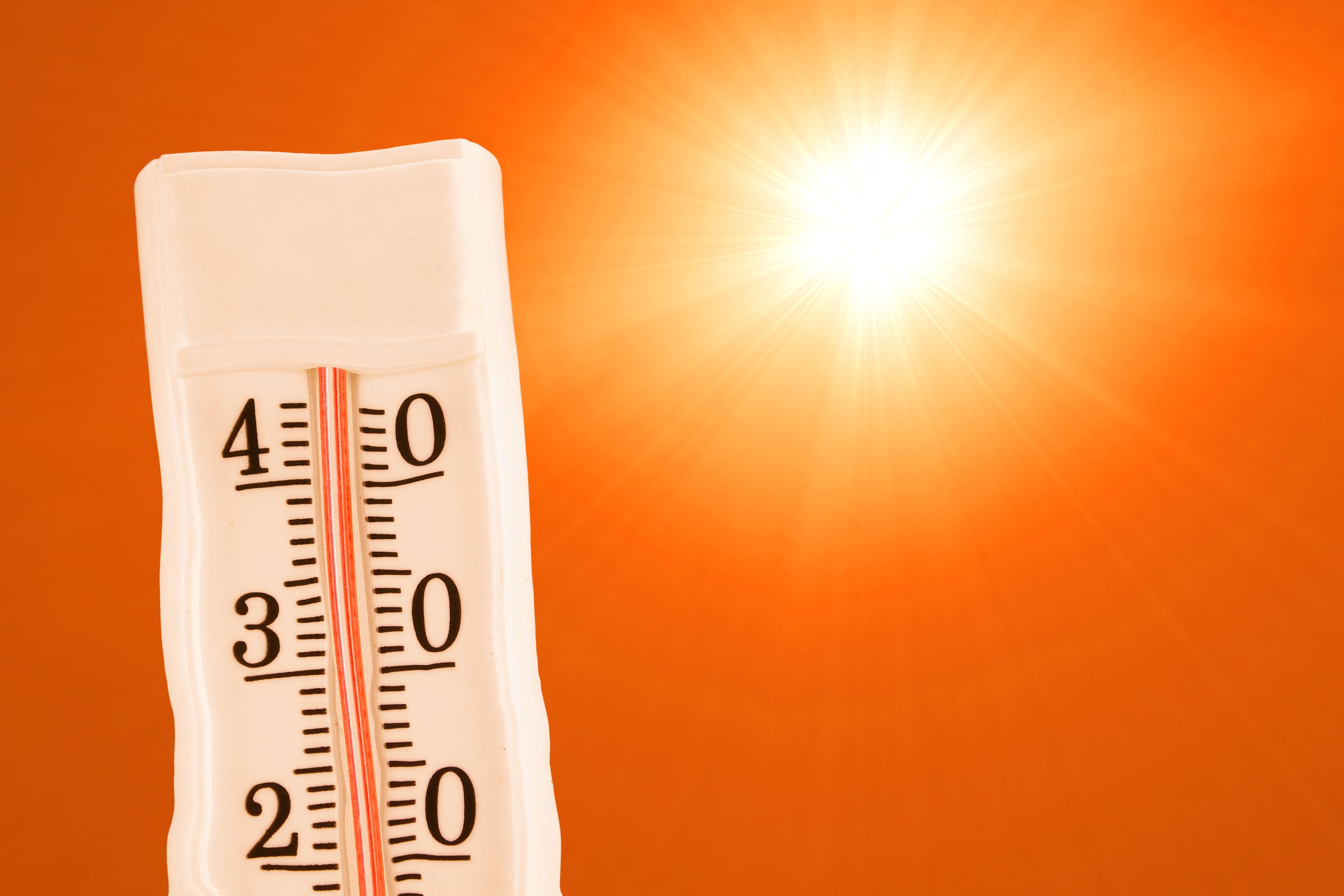 8 Signs You're About to Die of Heat Stroke - 8List.ph 8 Signs You're About to Die of Heat Stroke - 8List.ph