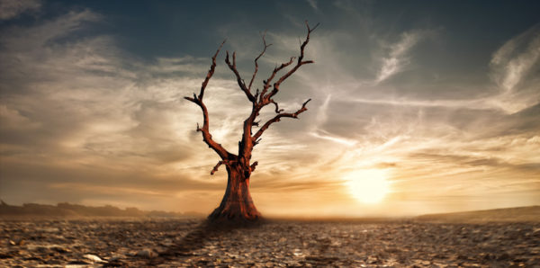 Mother Nature is Crying: 8 Shocking Environmental Images that Will ...