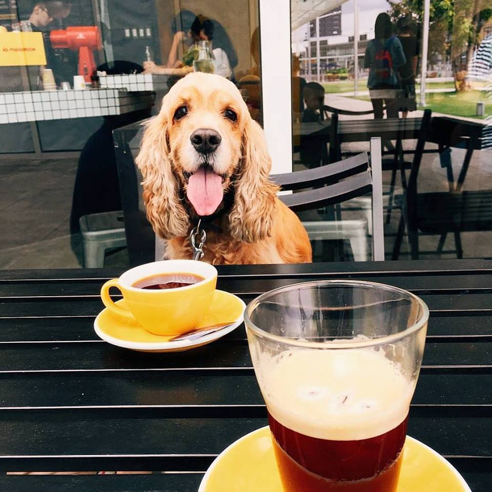 Low-Key Cafés Where You Can Actually Get Work Done - 8List.ph