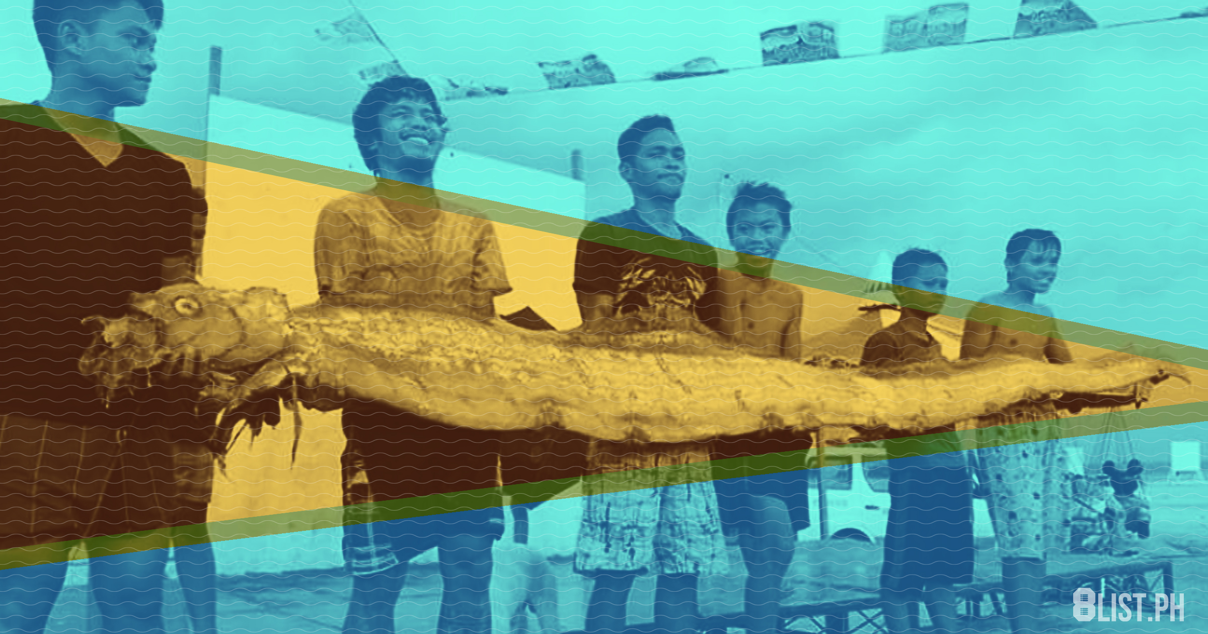 Animals That Can Sense Danger - 8List.ph