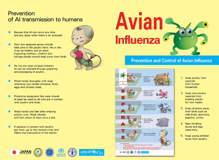 8 Things You Need to Know About Avian Flu in the Philippines - 8List.ph