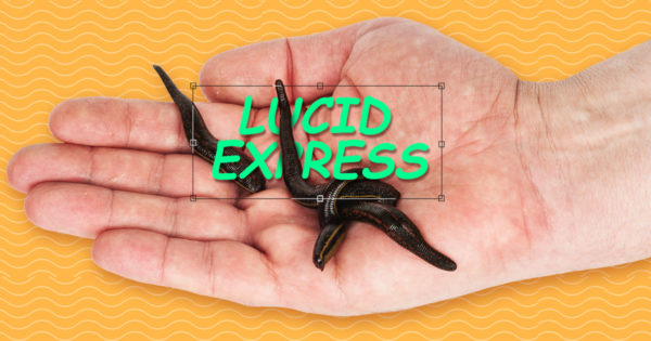 8 Types Of Leeches - 8List.ph