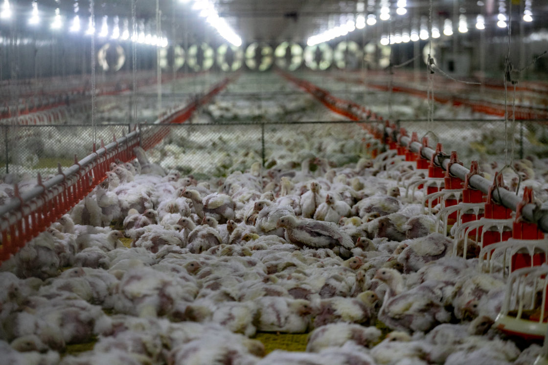 How This Company Prioritizes and Maintains their Relationship with its ...