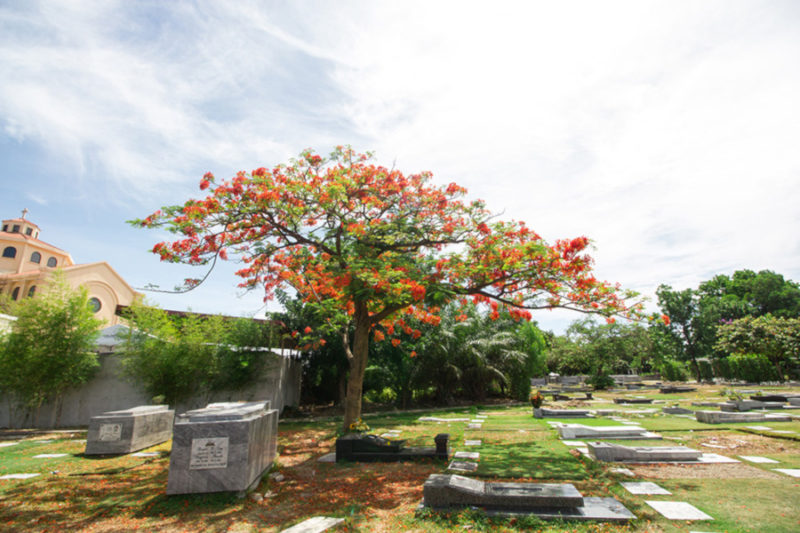 These Funeral Services Have the Most Beautiful and Peaceful Landscapes ...
