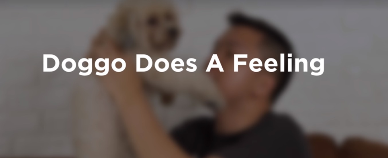 Doggo Does A Feelings - 8List.ph