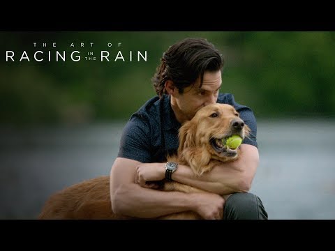 'The Art of Racing in the Rain' is a Must-See for Doggo Lovers - 8List.ph