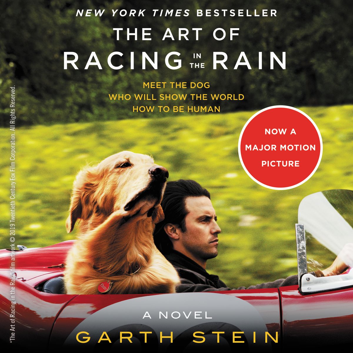 'The Art of Racing in the Rain' is a Must-See for Doggo Lovers - 8List.ph