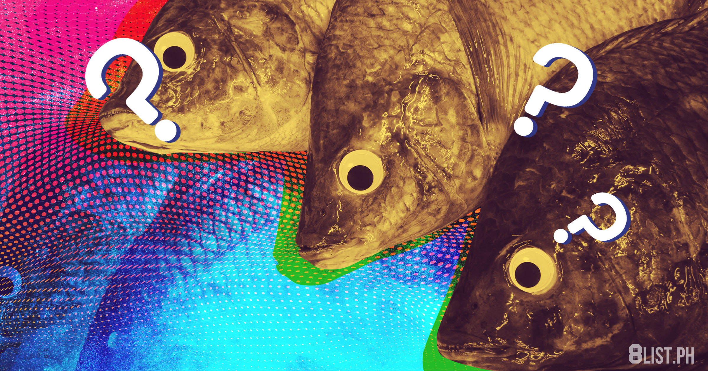 Week in Weird: Vendor Sticks Googly Eyes on Rotten Fish to Make Them ...