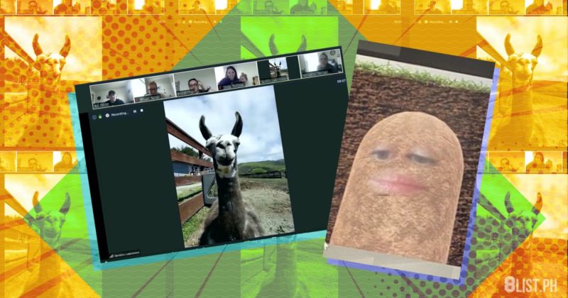 8 Hilarious Quarantine Video Calls that Went Wrong