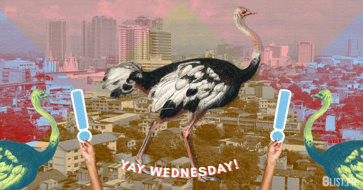 Yay Wednesday: The Most Hilarious Memes from That Bizarre Runaway ...