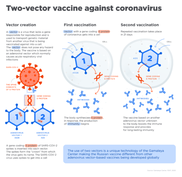 What You Need to Know About the Different COVID-19 Vaccines the ...