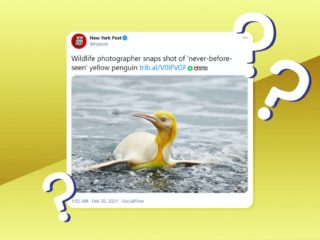 Where to Buy Budget-Friendly Comfortable Bras that Won’t Pinch Your ...