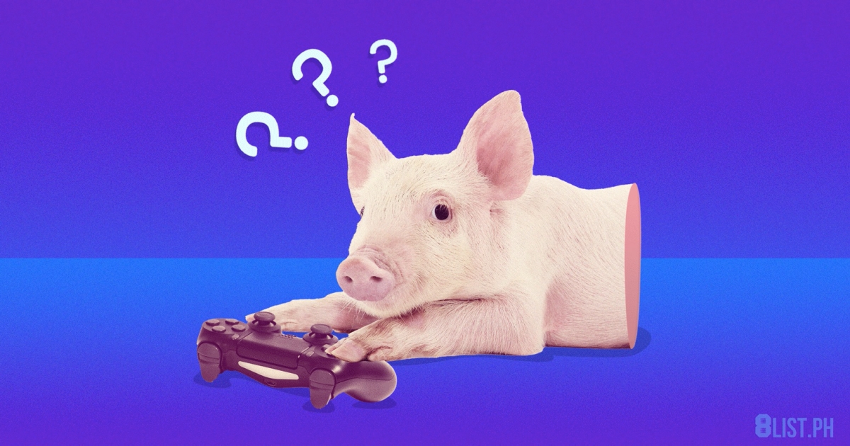 Week in Weird: Pigs Can’t Fly, But They Can Play Video Games - 8List.ph