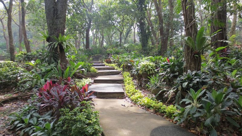 Green Spaces in Metro Manila That You Need to See Before They're Gone
