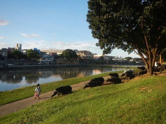 Green Spaces in Metro Manila That You Need to See Before They're Gone