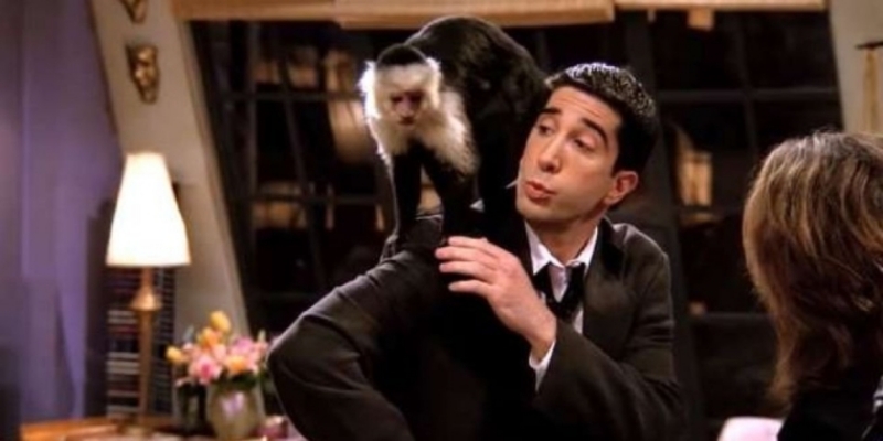 The One Where They Got Back Together: The 8 Biggest Reveals from the ...