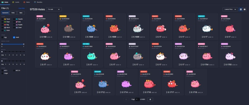 Axie Infinity: 8 Things You Need to Know About the Play-to-Earn Game