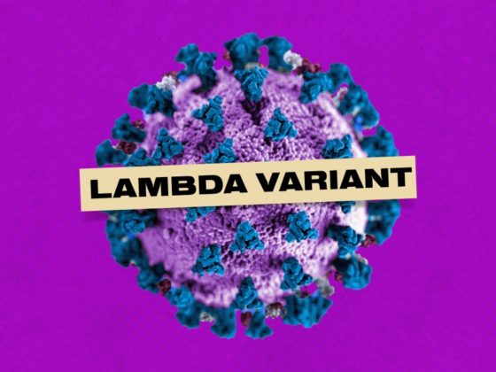 Apps for Students: 8 Useful Apps to Ace Online Classes