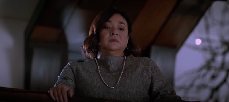 8 Reasons 'The Housemaid' Remake Is a Handful — And Why You Should ...