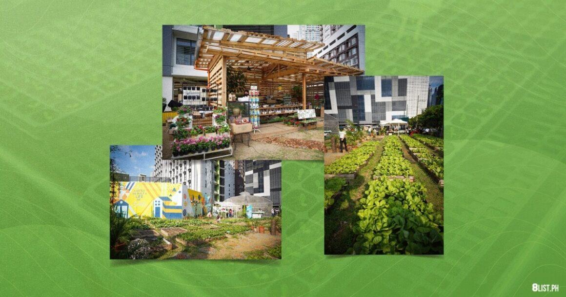 Try Your Hand at Farming in the City Thanks to BGC Urban Farm - 8List.ph