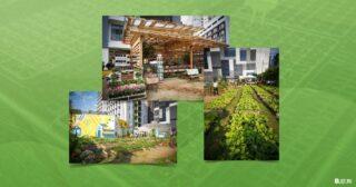 Try Your Hand at Farming in the City Thanks to BGC Urban Farm - 8List.ph