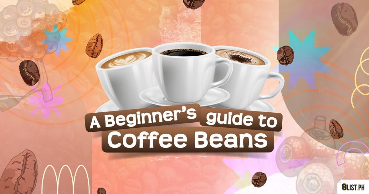 Types of Coffee Beans: Beginner's Guide to Kinds of Coffee Beans