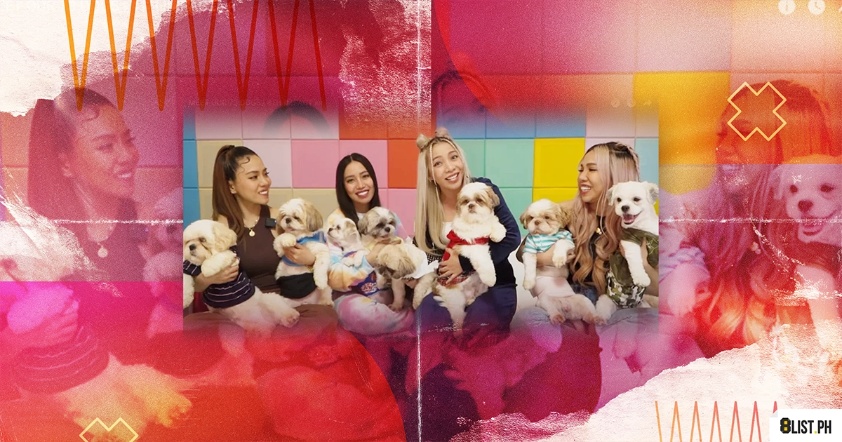4th Impact Called Out for Being ‘Irresponsible Pet Owners’ - 8List.ph