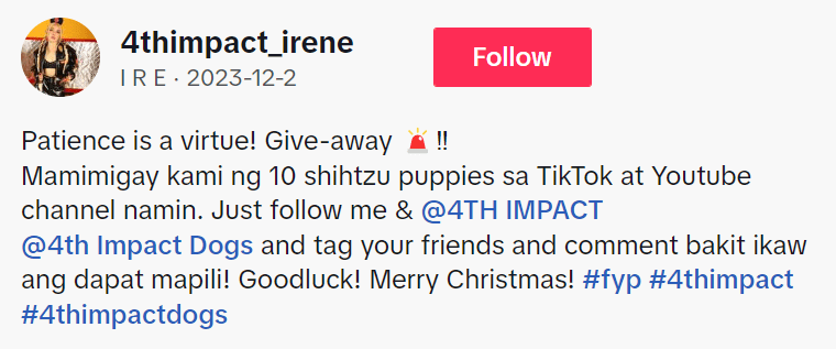 4th Impact Called Out for Being ‘Irresponsible Pet Owners’ - 8List.ph