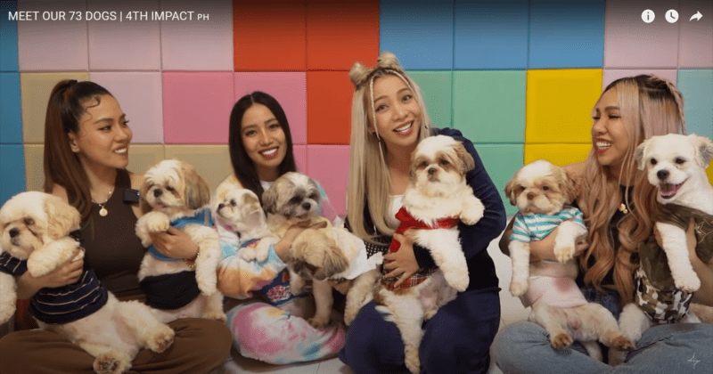 4th Impact Called Out for Being ‘Irresponsible Pet Owners’ - 8List.ph