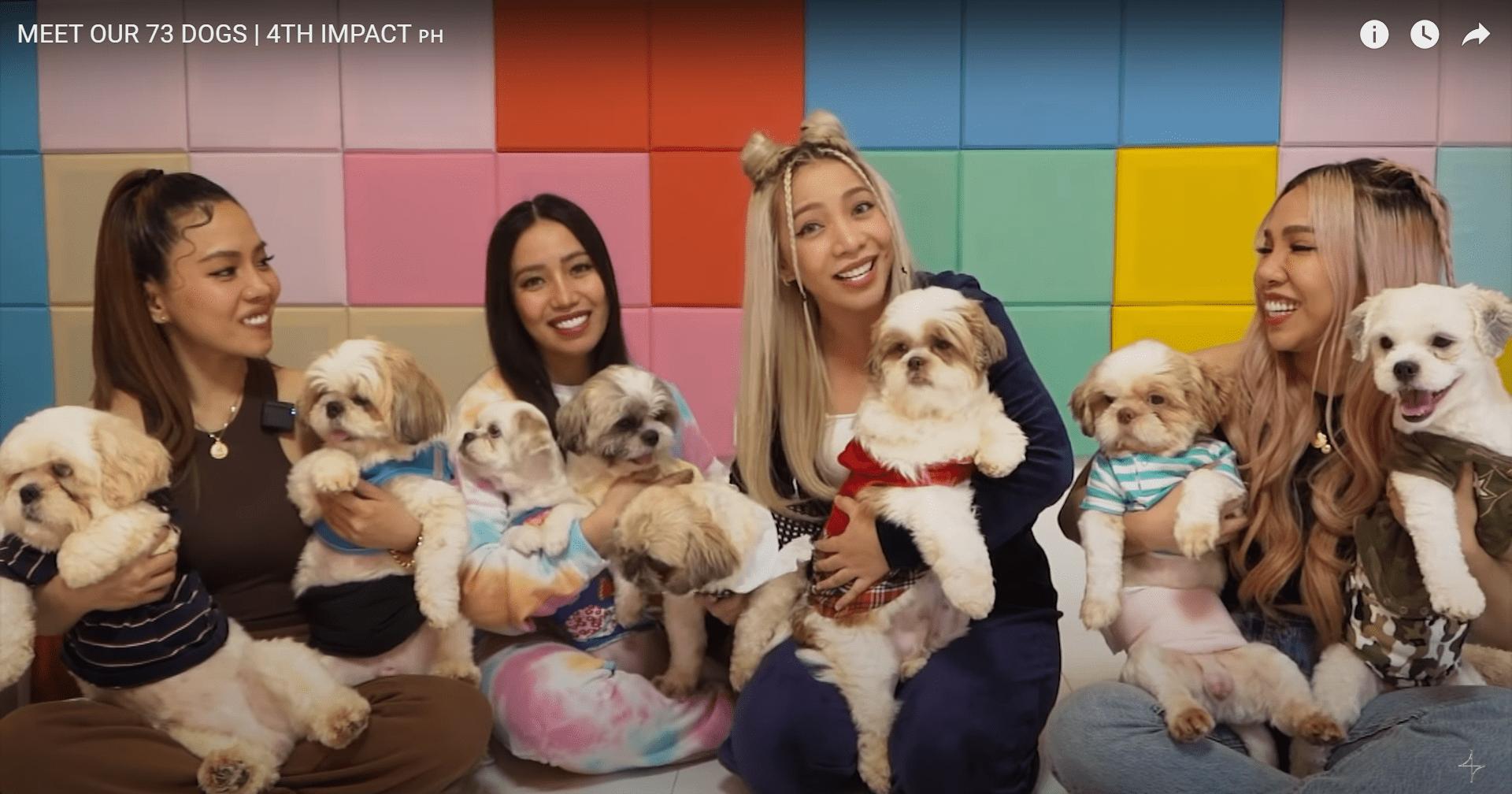 4th Impact Called Out for Being ‘Irresponsible Pet Owners’ - 8List.ph