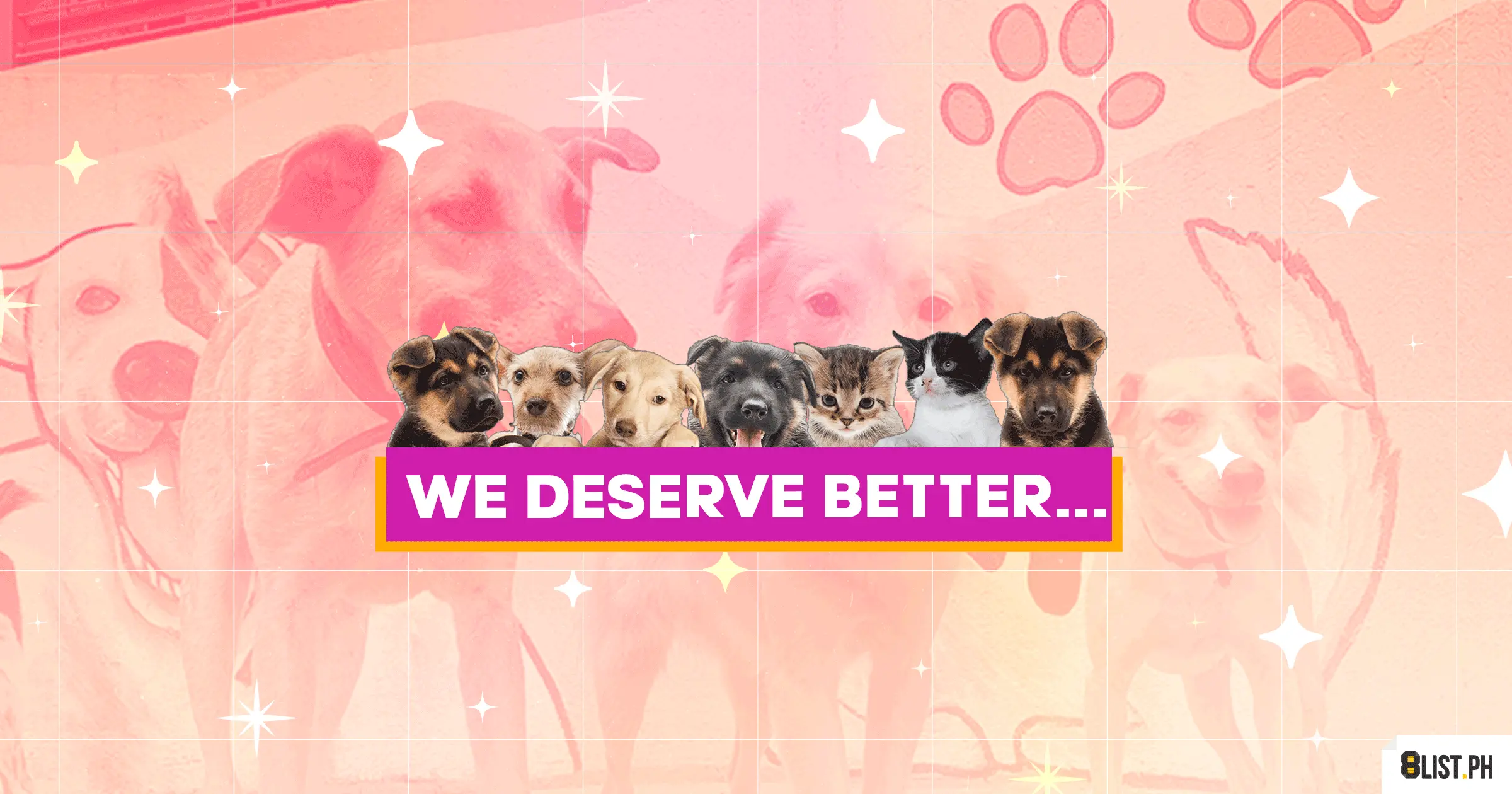 8 Better Animal Charities to Help Out (Than 4th Impact’s GoFundMe)