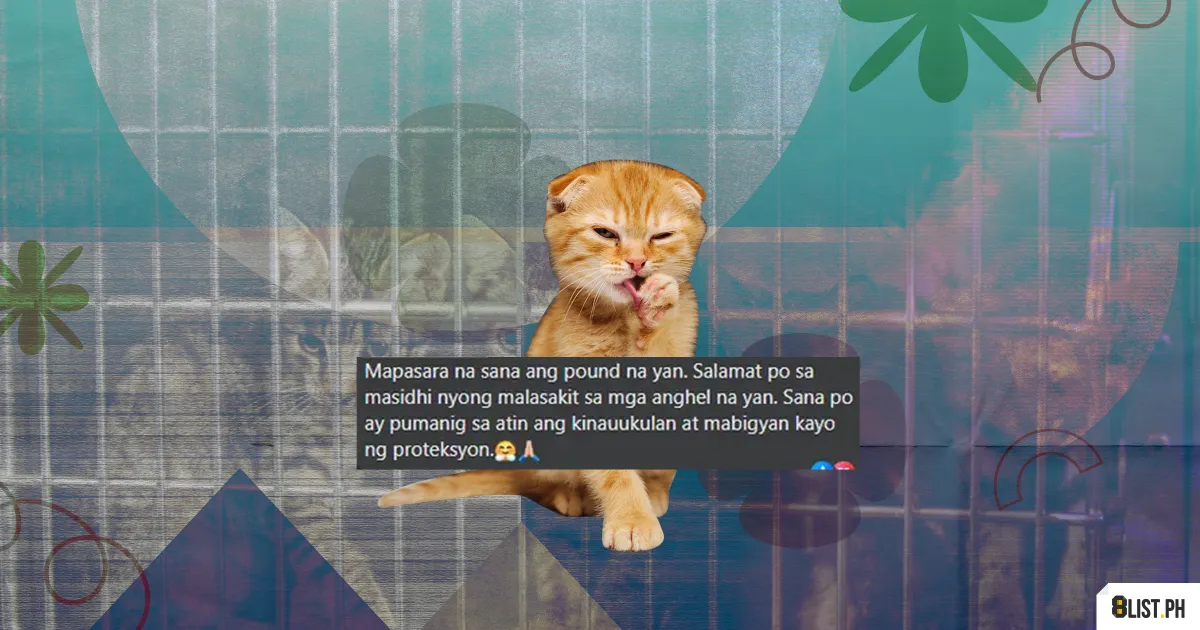 Animal Facility in Cavite Draws Flak Amid Allegations of Negligence and ...