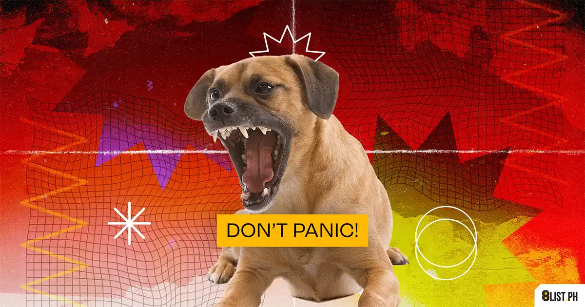 Don't Panic! How to Handle a Dog Attack - 8List.ph
