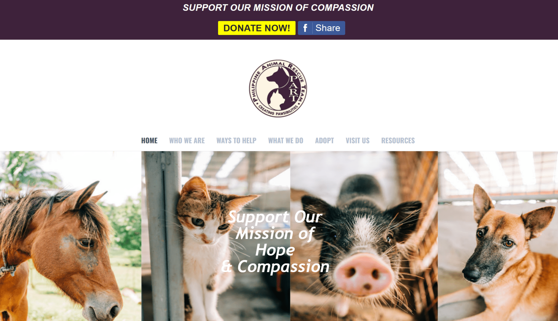 8 Better Animal Charities to Help Out (Than 4th Impact’s GoFundMe)