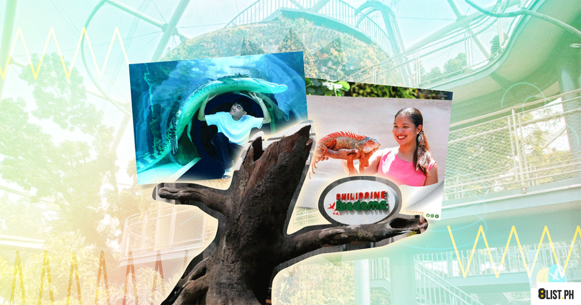Philippine Biodome: What to Expect + How to Get Tickets - 8List.ph